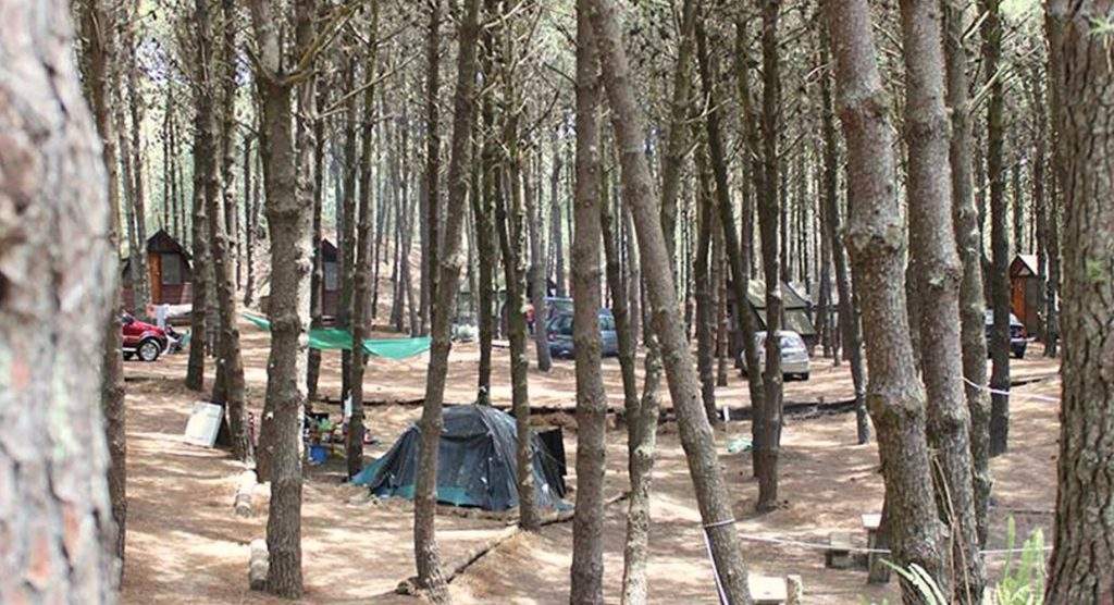 2 CAMPINGS en Pinamar (Buenos Aires) ¡Ver Precios!