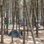 ᐈ 20 APARTHOTELES en Pinamar (Buenos Aires) ¡Ver Precios!